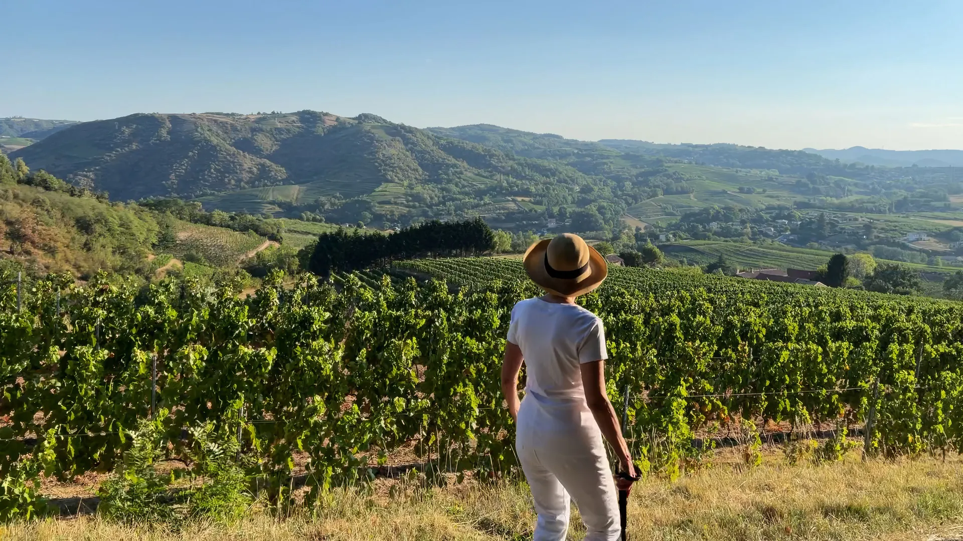 Explore the Rhône Valley’s Roman past with Viking’s Nikolas Rabogliatti ...