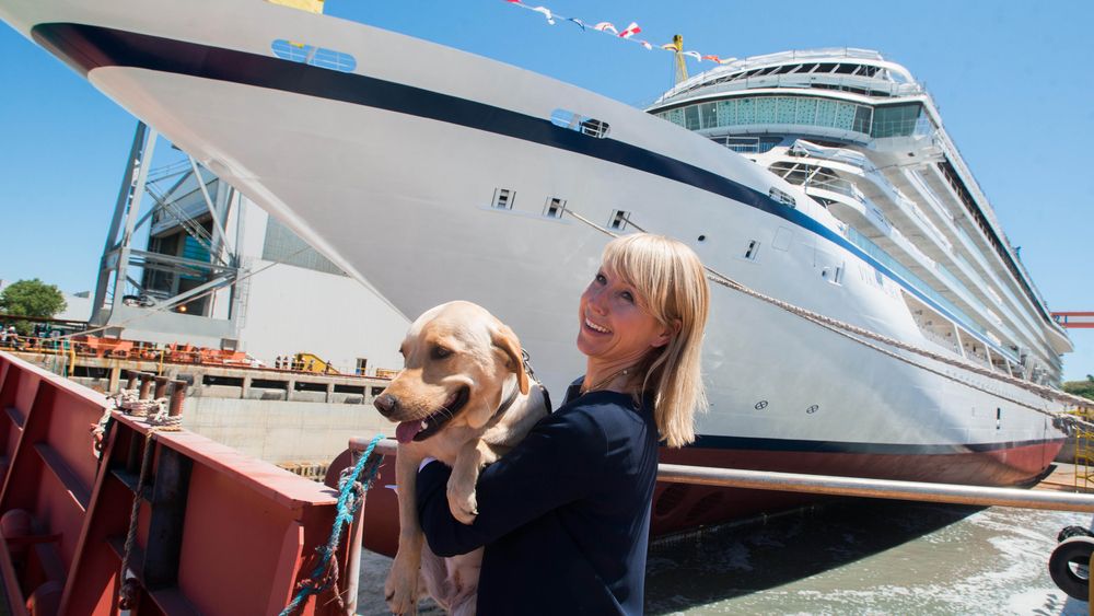 Viking Sea Float Out | Videos | Viking Cruises