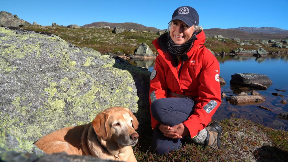 The Story Behind Finse Terrace | Videos | Viking Cruises