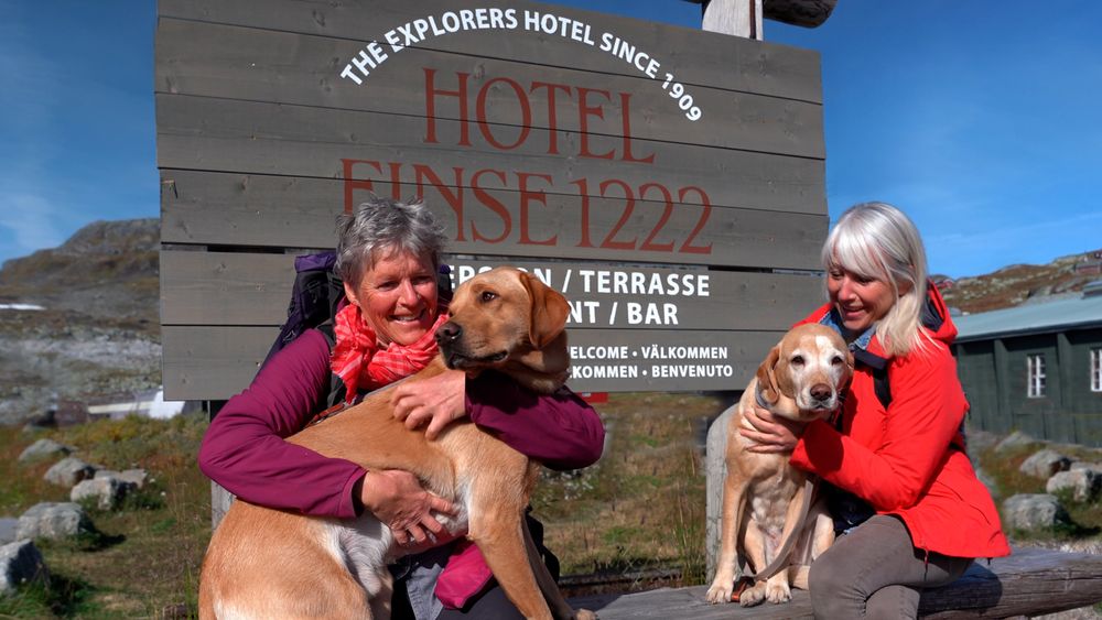 Journey to Finse Plateau | Videos | Viking Cruises